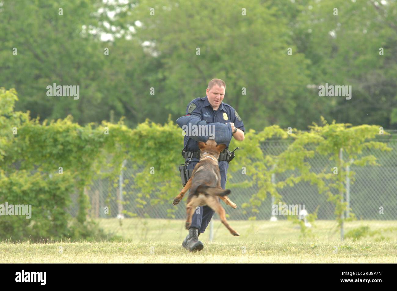 Law enforcement canine exercises on the occasion of the U.S. Park ...
