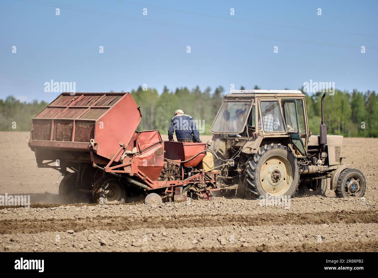 Wheeled tractor with potato planter is planting potatoes during spring ...