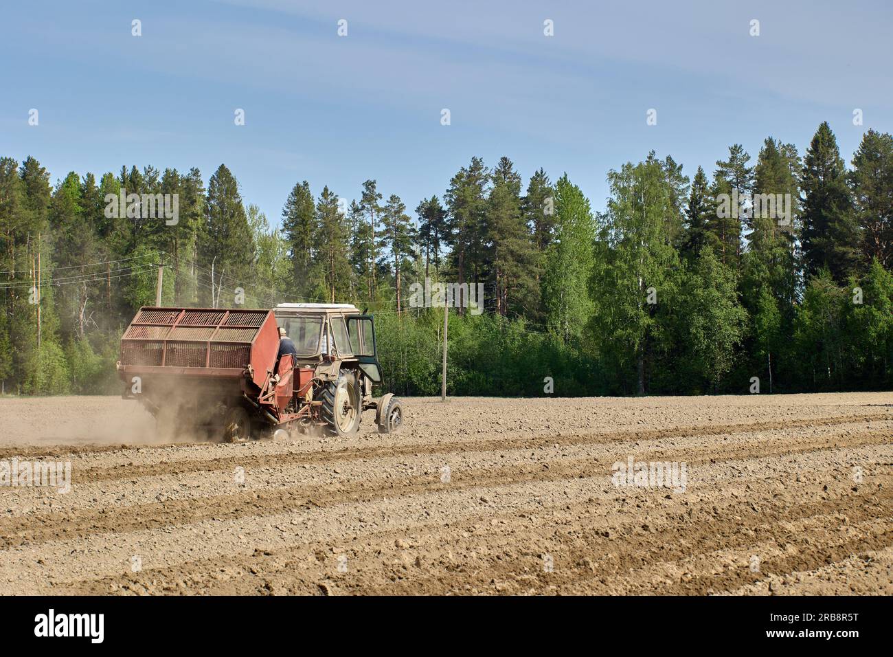 Spring sowing in potato field, potato planter plants potatoes using ...