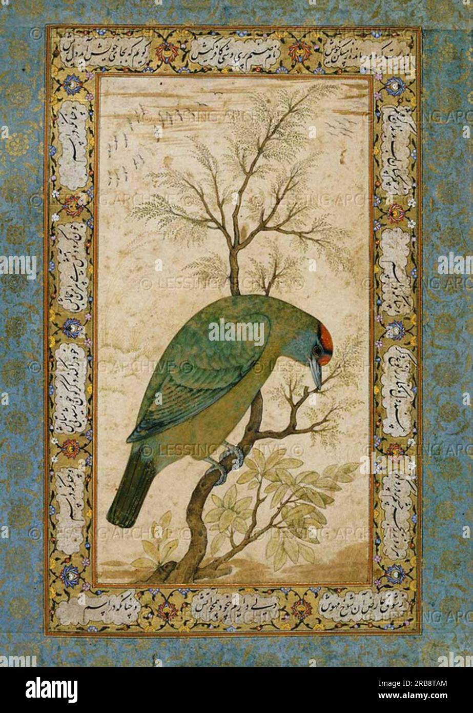 A Barbet (Himalayan blue-throated bird) 1615 by Ustad Mansur Stock ...