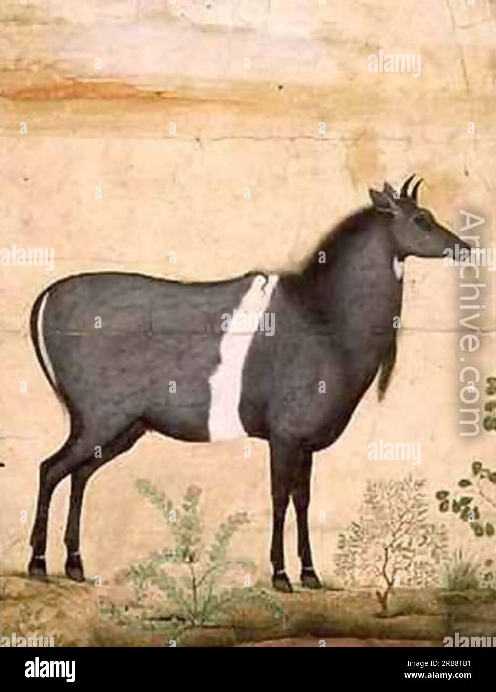 Mughal painting blue hi-res stock photography and images - Alamy