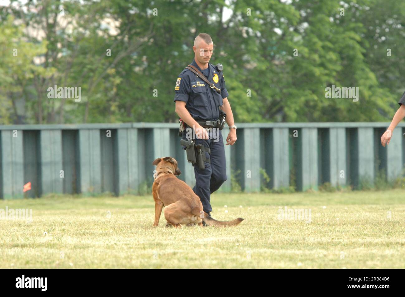 Law enforcement canine exercises on the occasion of the U.S. Park ...