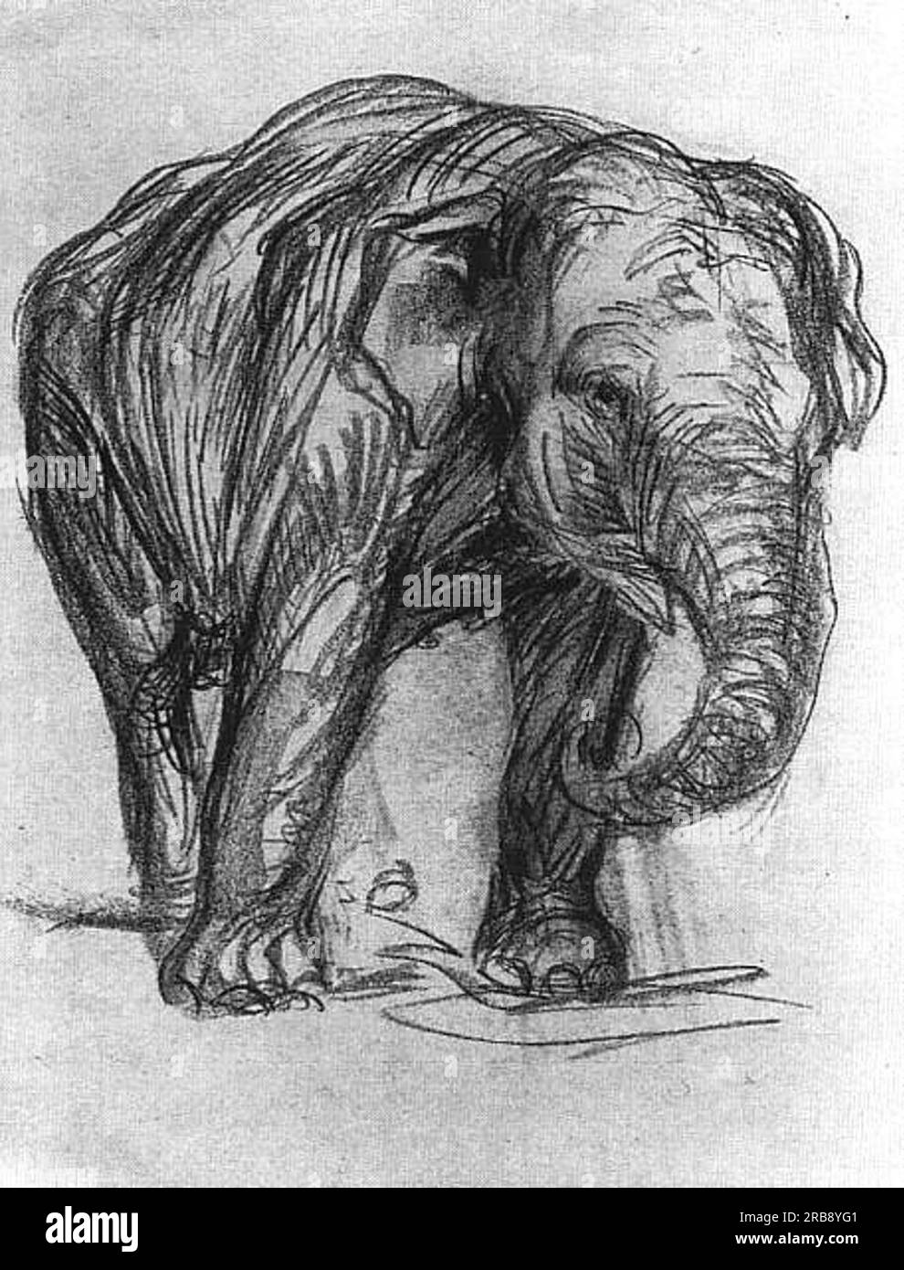 Elephant 1907 by Franz Marc Stock Photo - Alamy