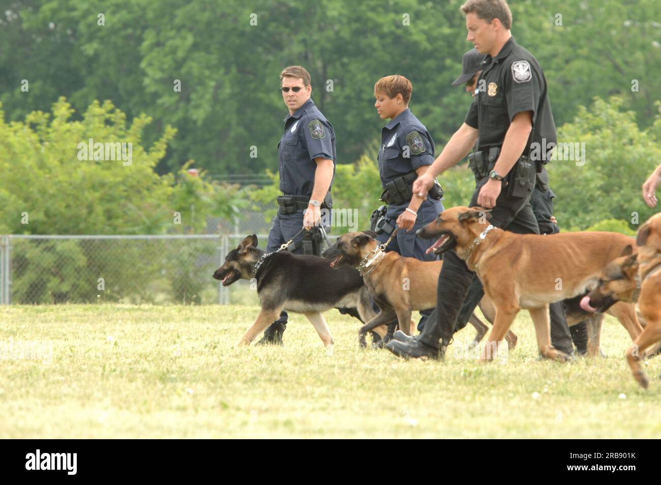 Law enforcement canine exercises on the occasion of the U.S. Park ...