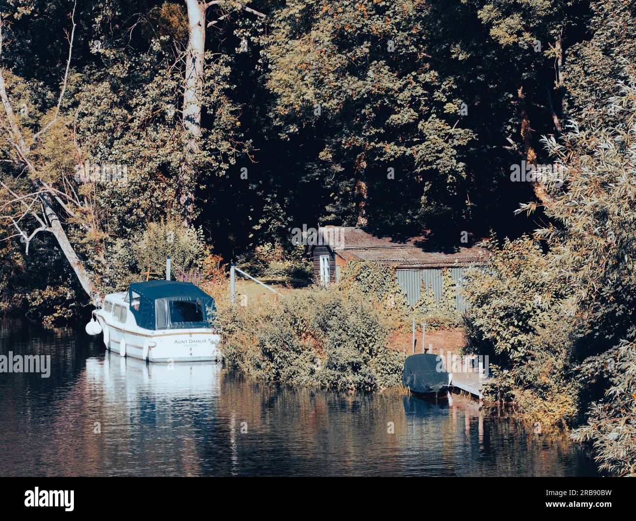 Cool Summer Colours, Whitchurch-on-Thames, Oxfordshire, England, UK, GB ...