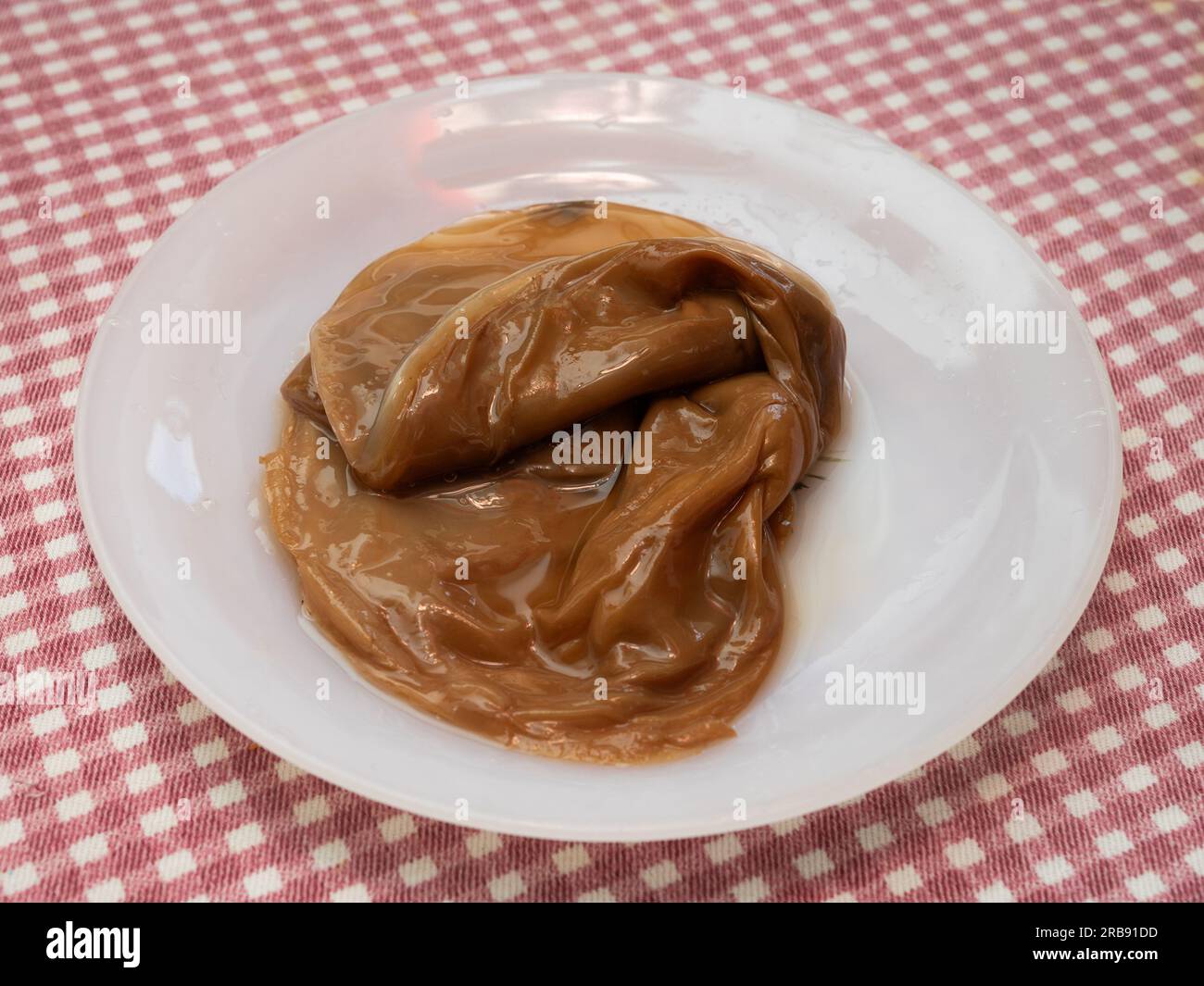 Kombucha scoby, a symbiotic culture of bacteria and yeast on a white ...