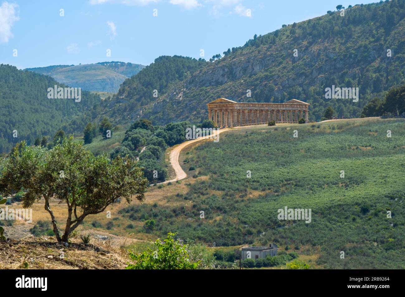 The Doric temple of Segesta. Segesta, Calatafimi, Trapani, Sicily ...