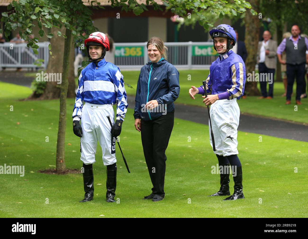 Old billy horse hi-res stock photography and images - Alamy