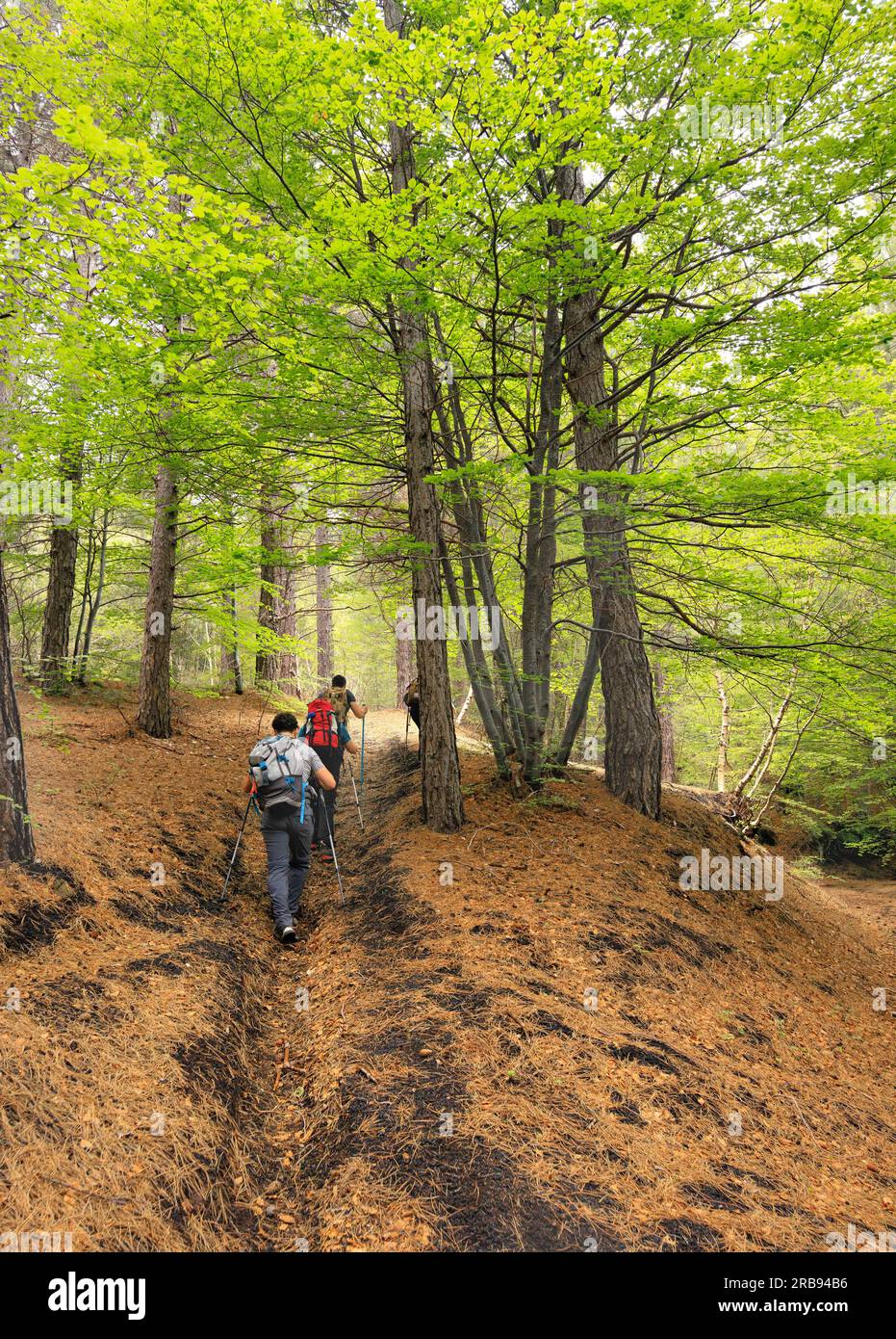 Persone camminano hi-res stock photography and images - Alamy