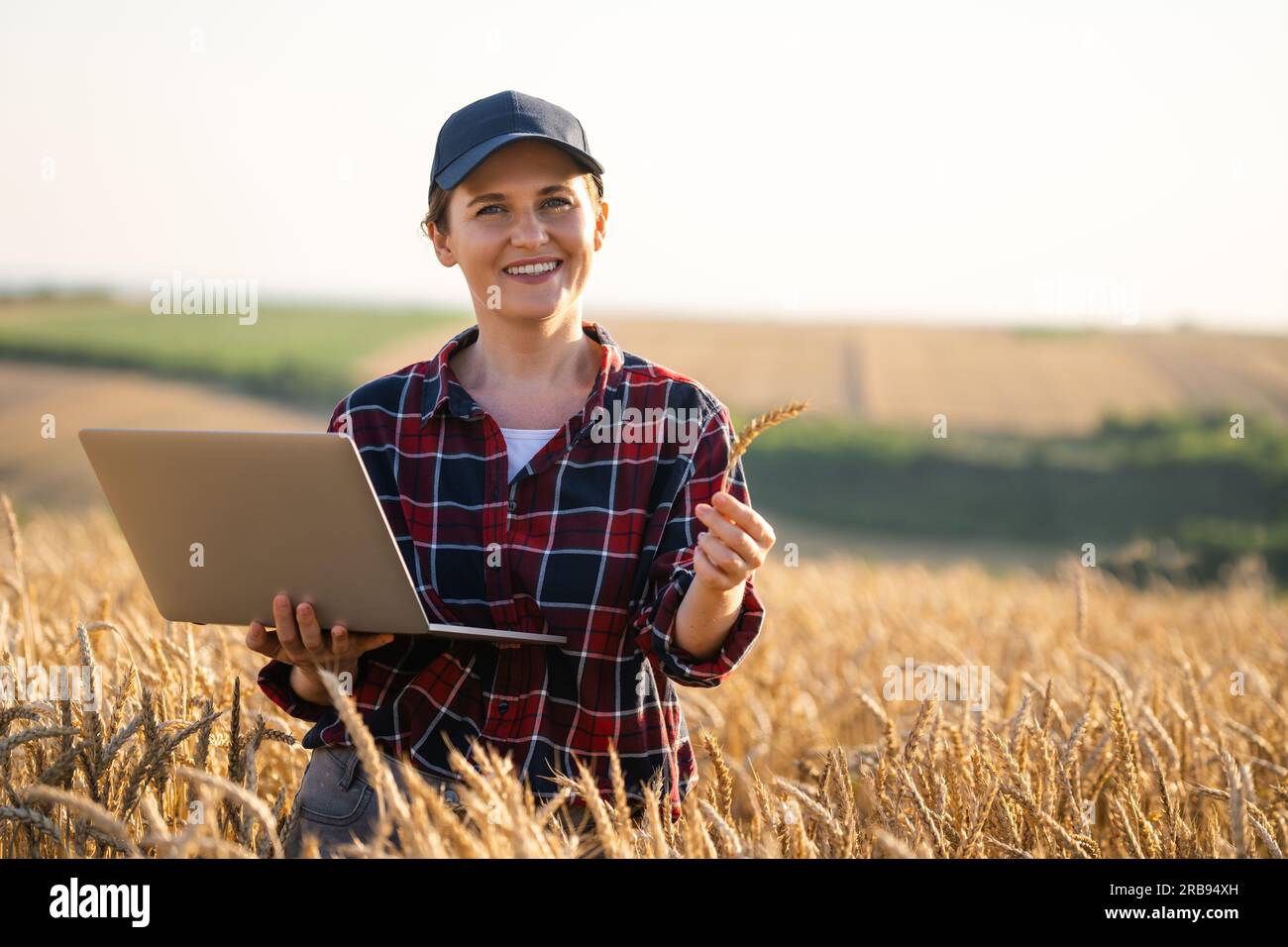 Woman farmer working with laptop on wheat field. Smart farming and ...