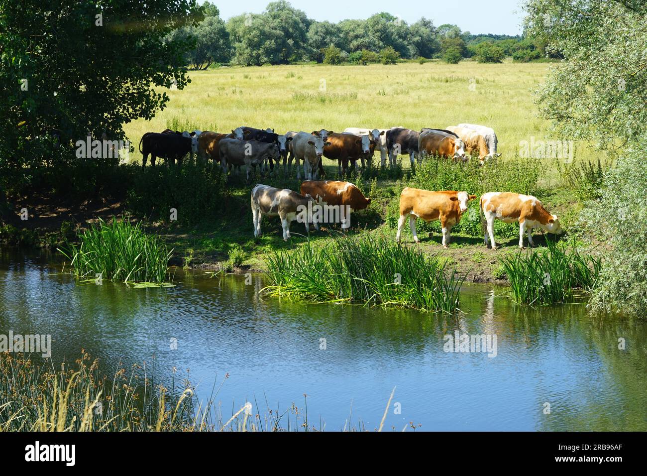 Fen drayton hi-res stock photography and images - Alamy