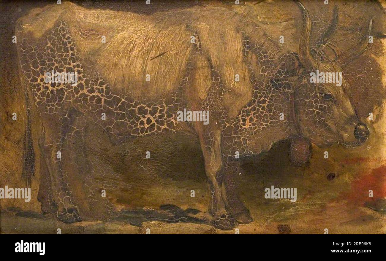 Roman Ox (Standing) by George Hemming Mason Stock Photo - Alamy