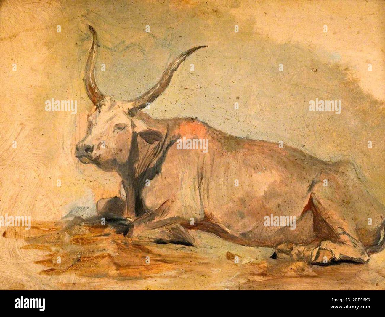 Roman Ox (Lying down) by George Hemming Mason Stock Photo - Alamy