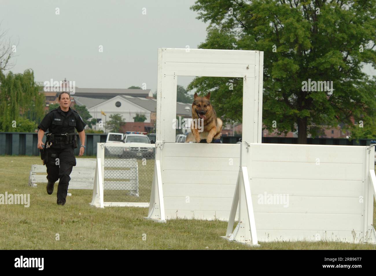 Law enforcement canine exercises on the occasion of the U.S. Park ...