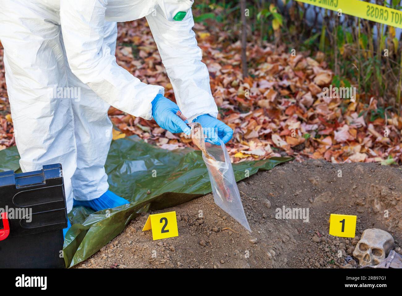 Forensic expert collecting evidence hi-res stock photography and images ...