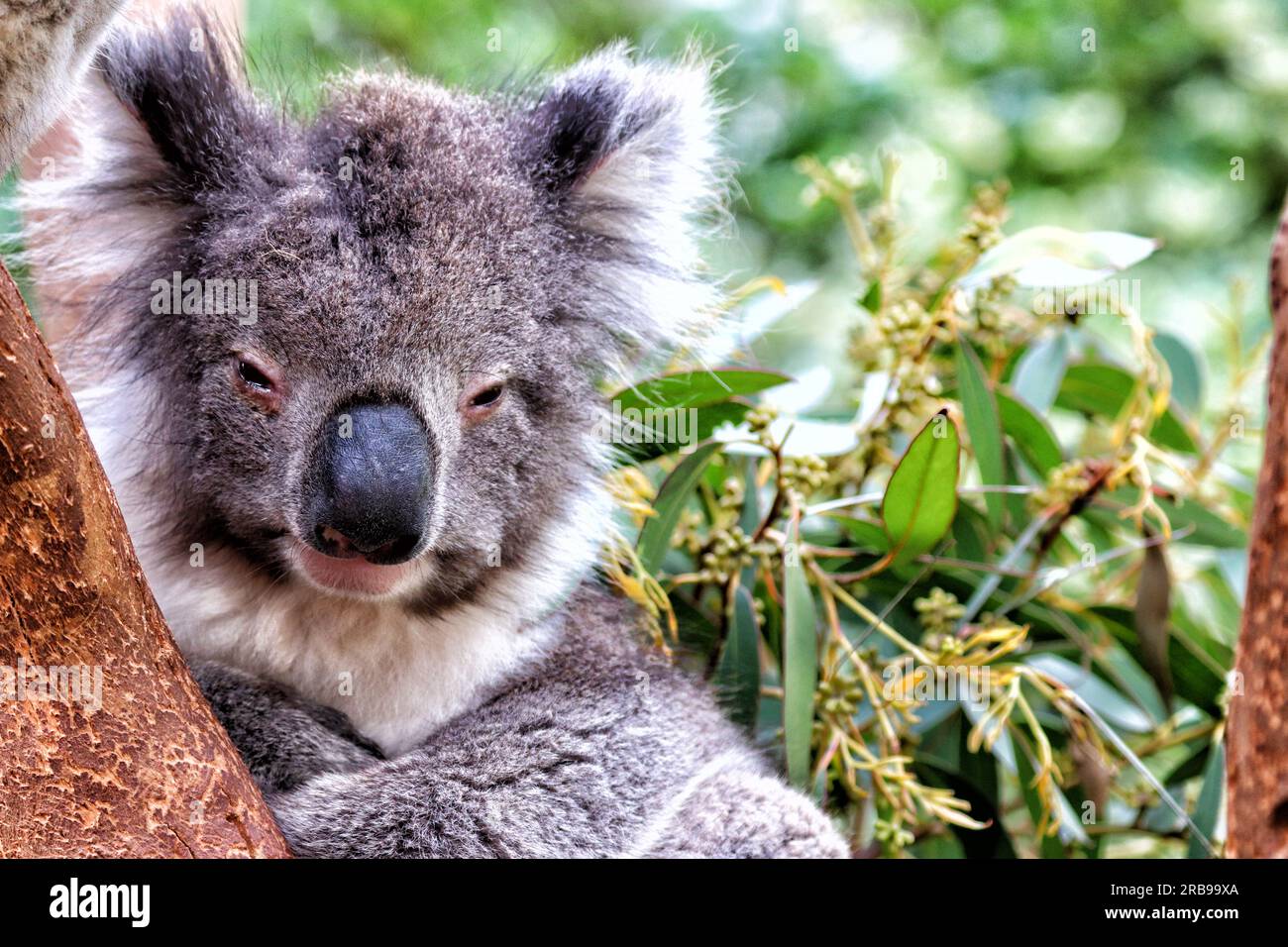 Amazing travel around fantastic places of the land down under ...