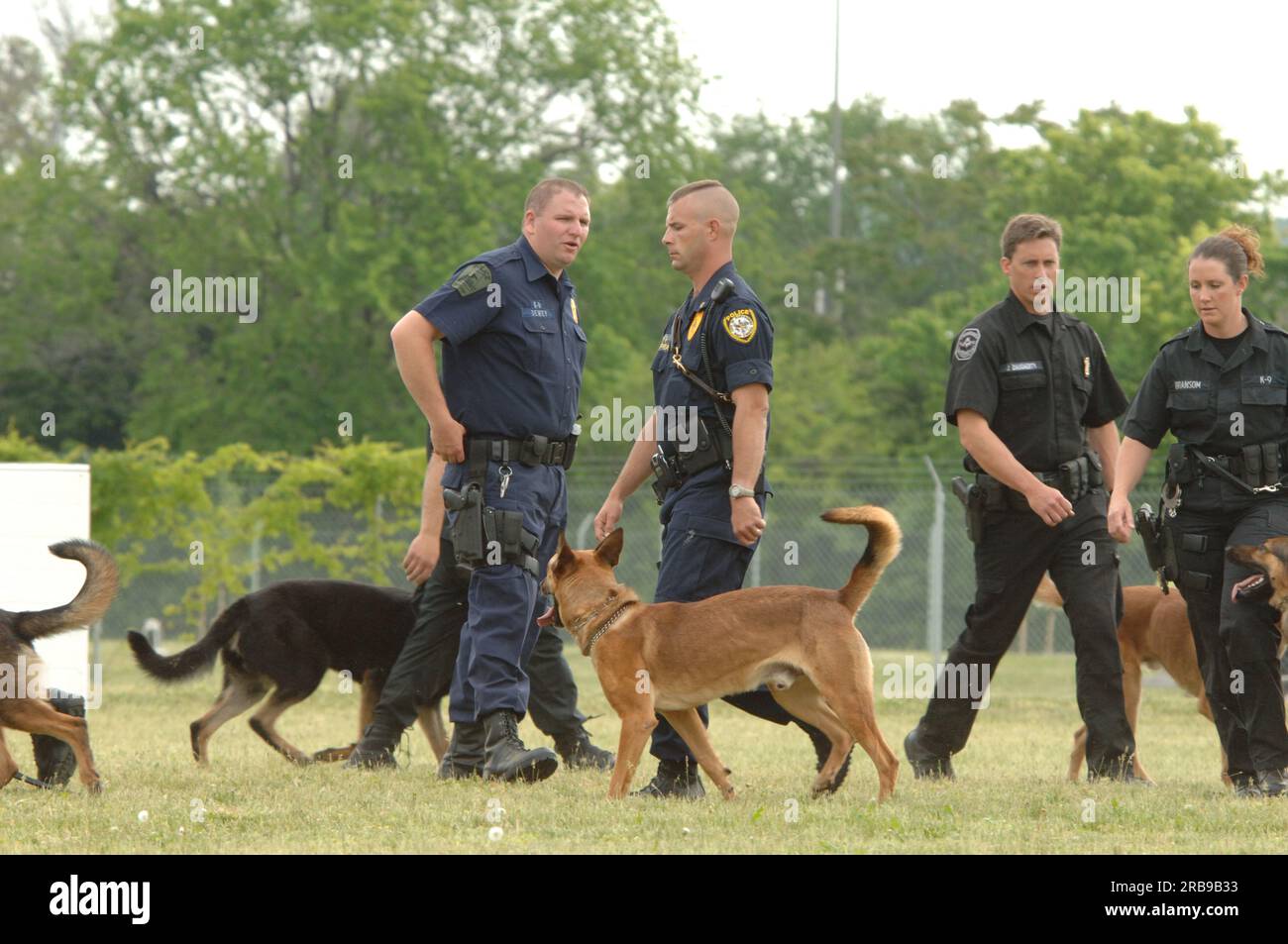 Law enforcement canine exercises on the occasion of the U.S. Park ...
