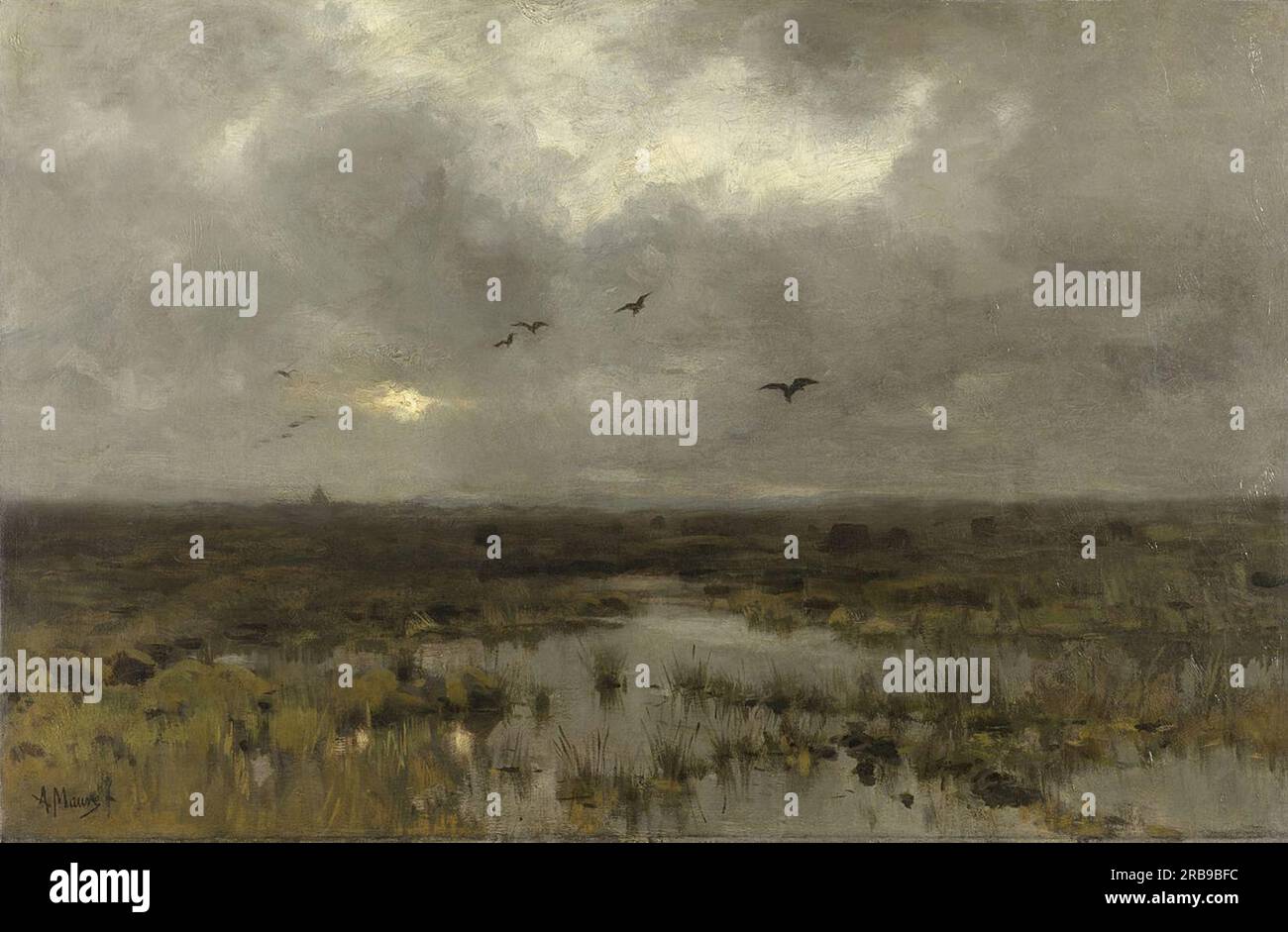 Het moeras hi-res stock photography and images - Alamy