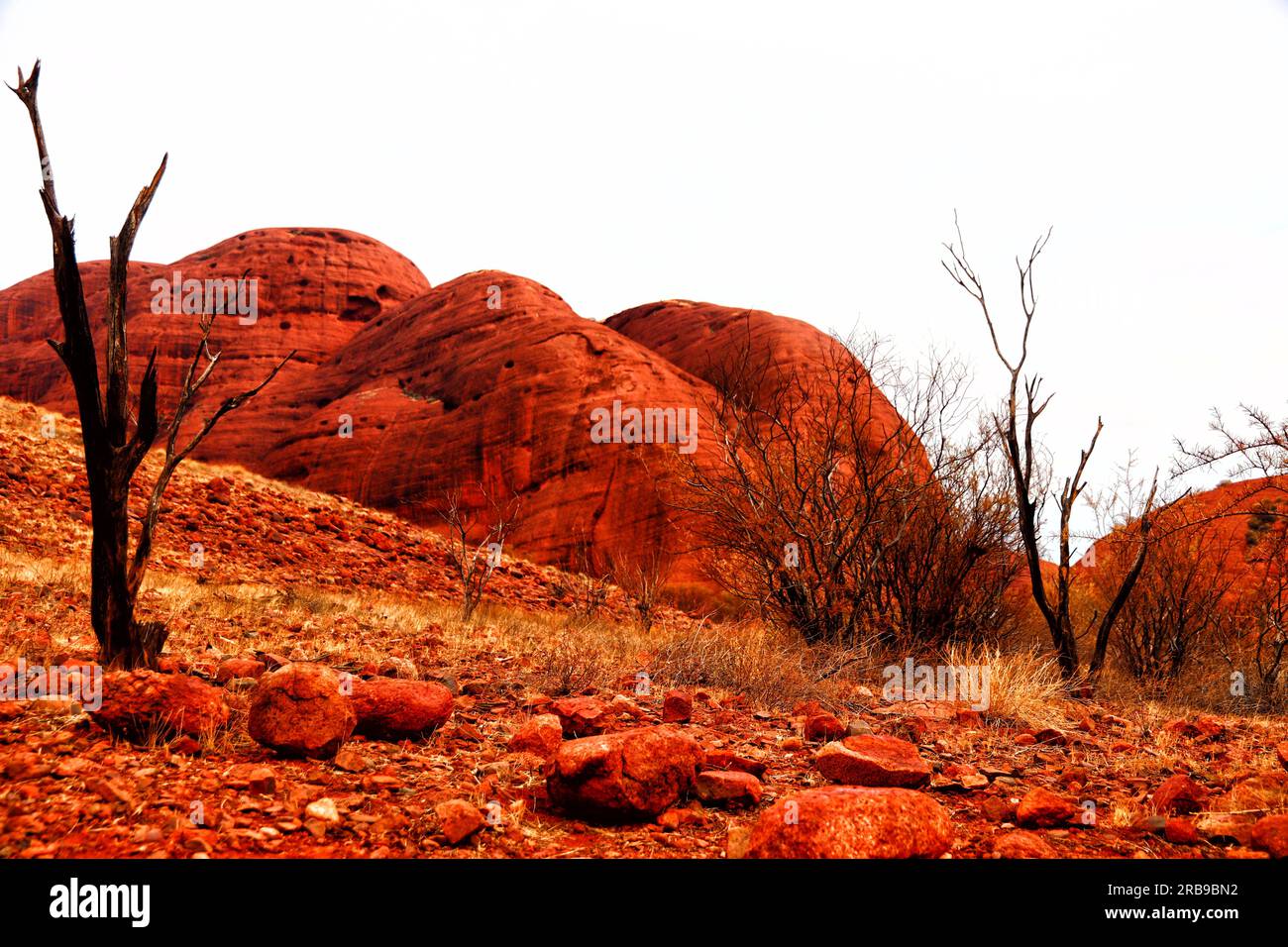 Amazing travel around fantastic places of the land down under ...