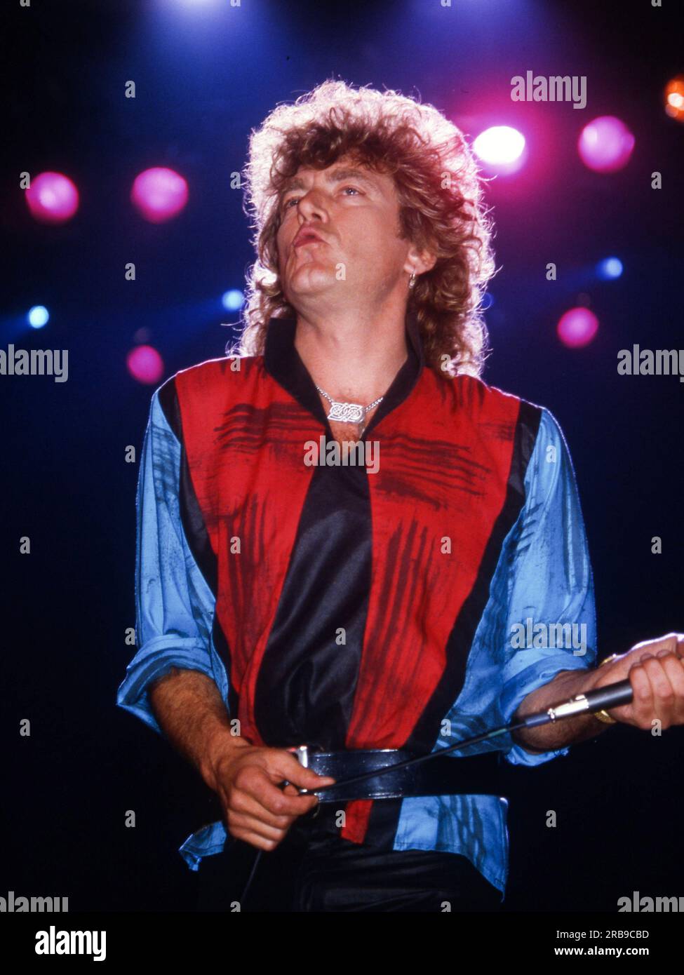Robert Plant 1985