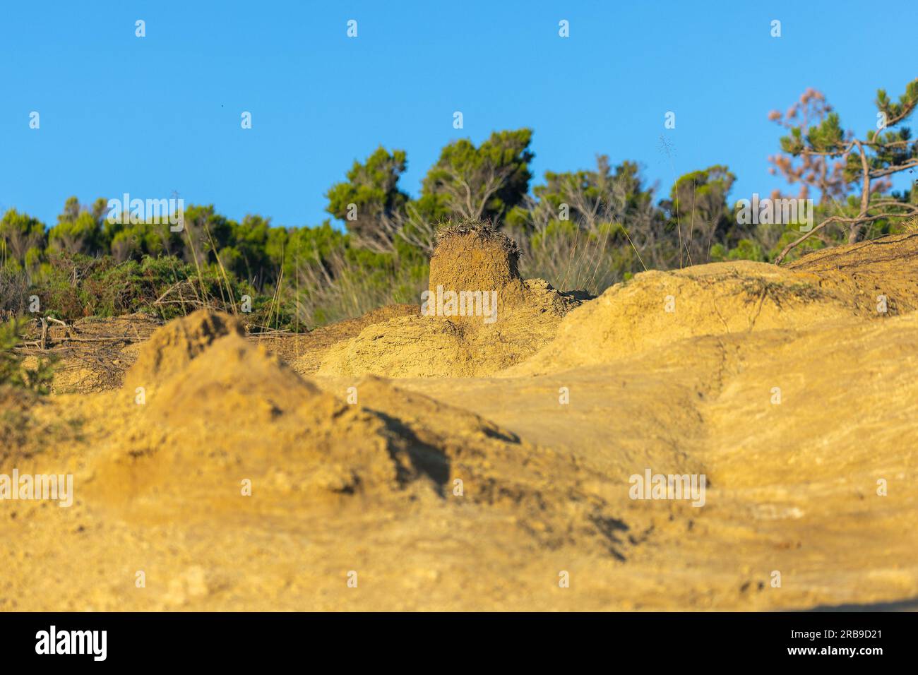 Geological sandstone formations on the Lopar peninsula, Rab Island ...