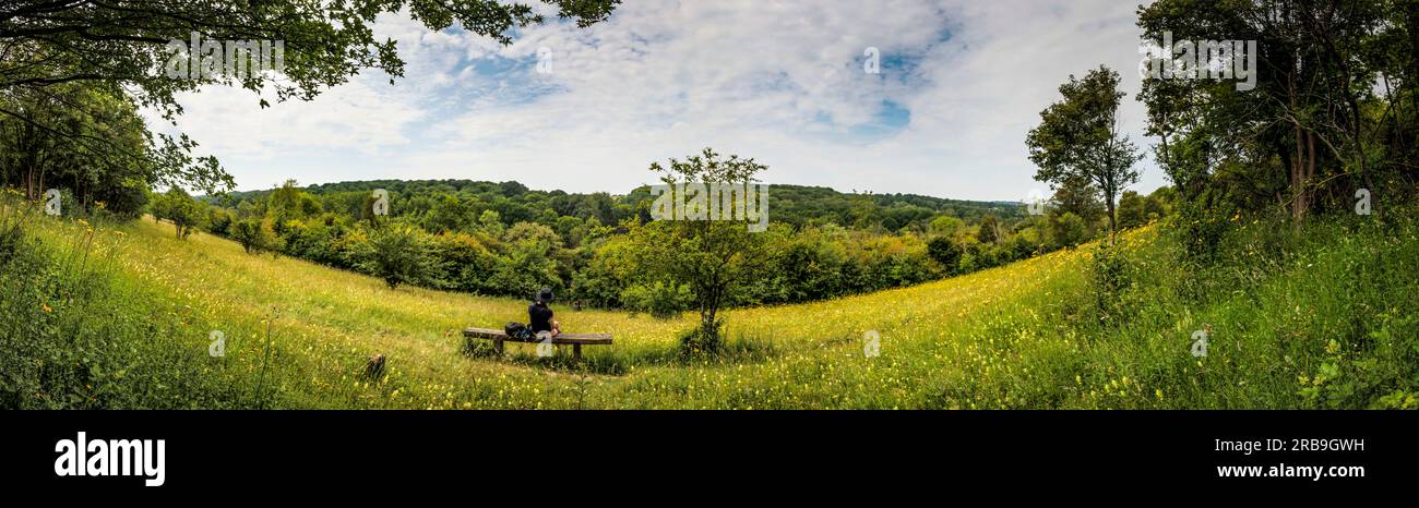 Environmentally important open space landscape in the Surrey Hills Area ...