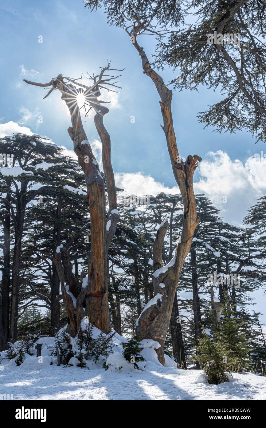 Lebanon snow church hi-res stock photography and images - Alamy