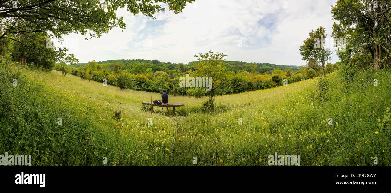 Environmentally important open space landscape in the Surrey Hills Area ...