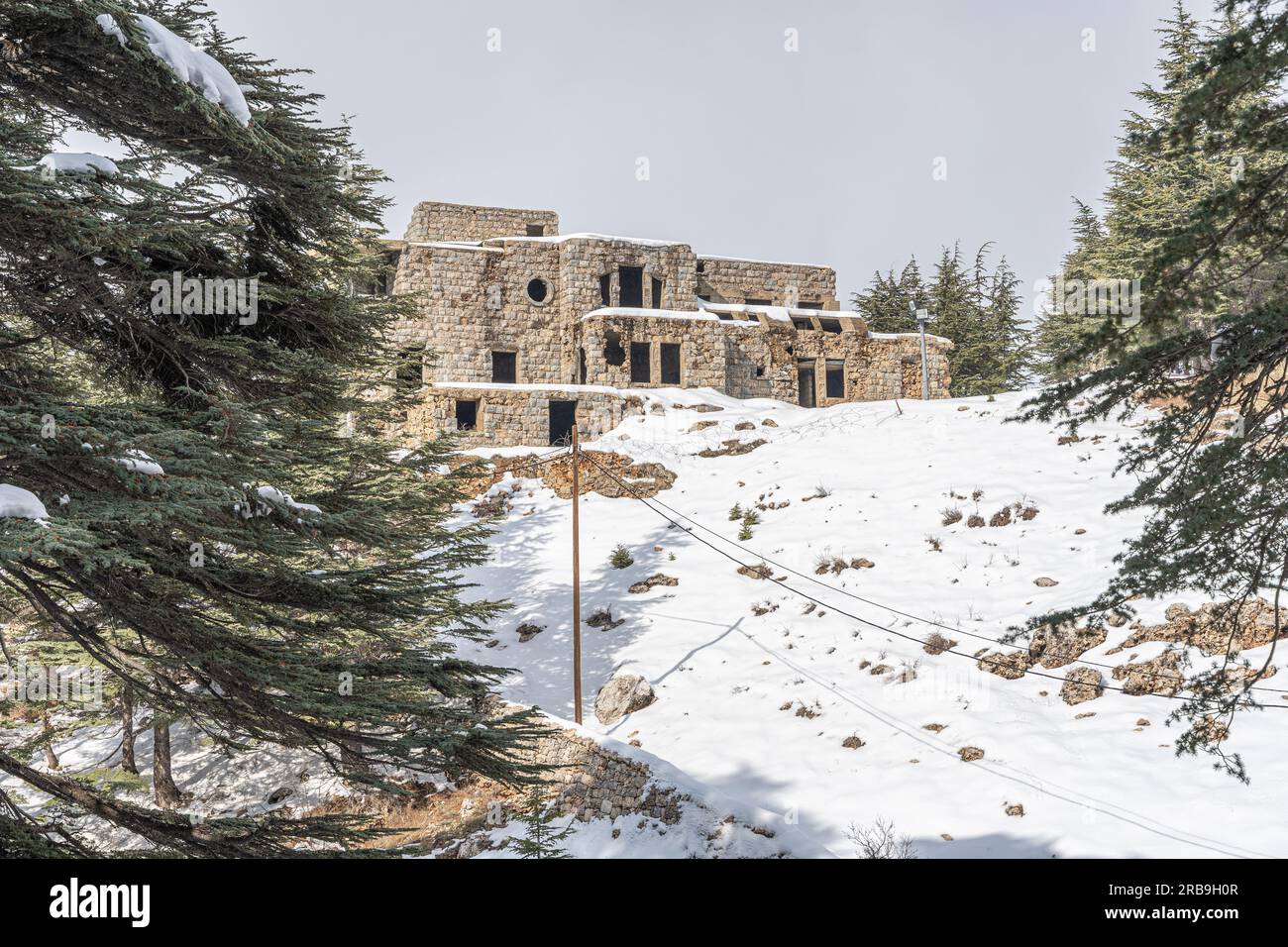 The cedars of god lebanon hi-res stock photography and images - Alamy