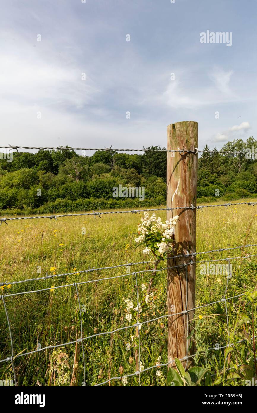 Environmentally important open space landscape in the Surrey Hills Area ...
