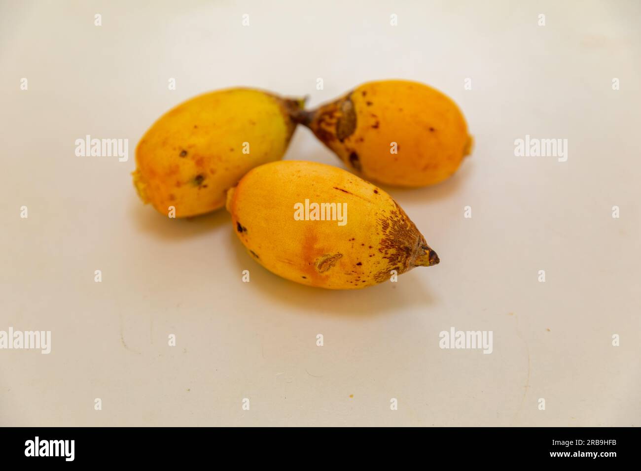 Rare ripe tropical palm fruit of unlocated botanical species. exotic ...