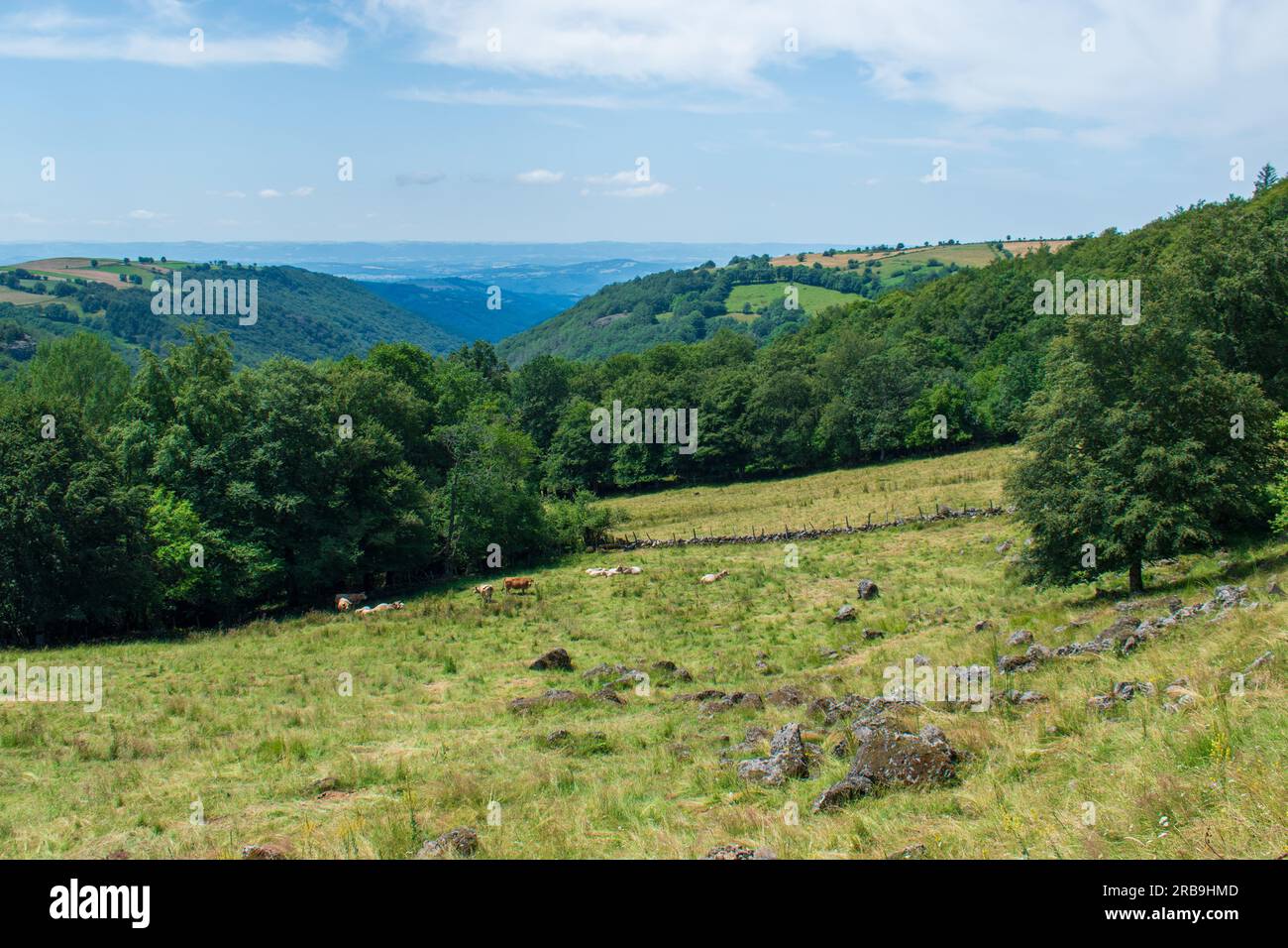 Landscape of the Aubrac plateau, Aveyron, France Stock Photo - Alamy