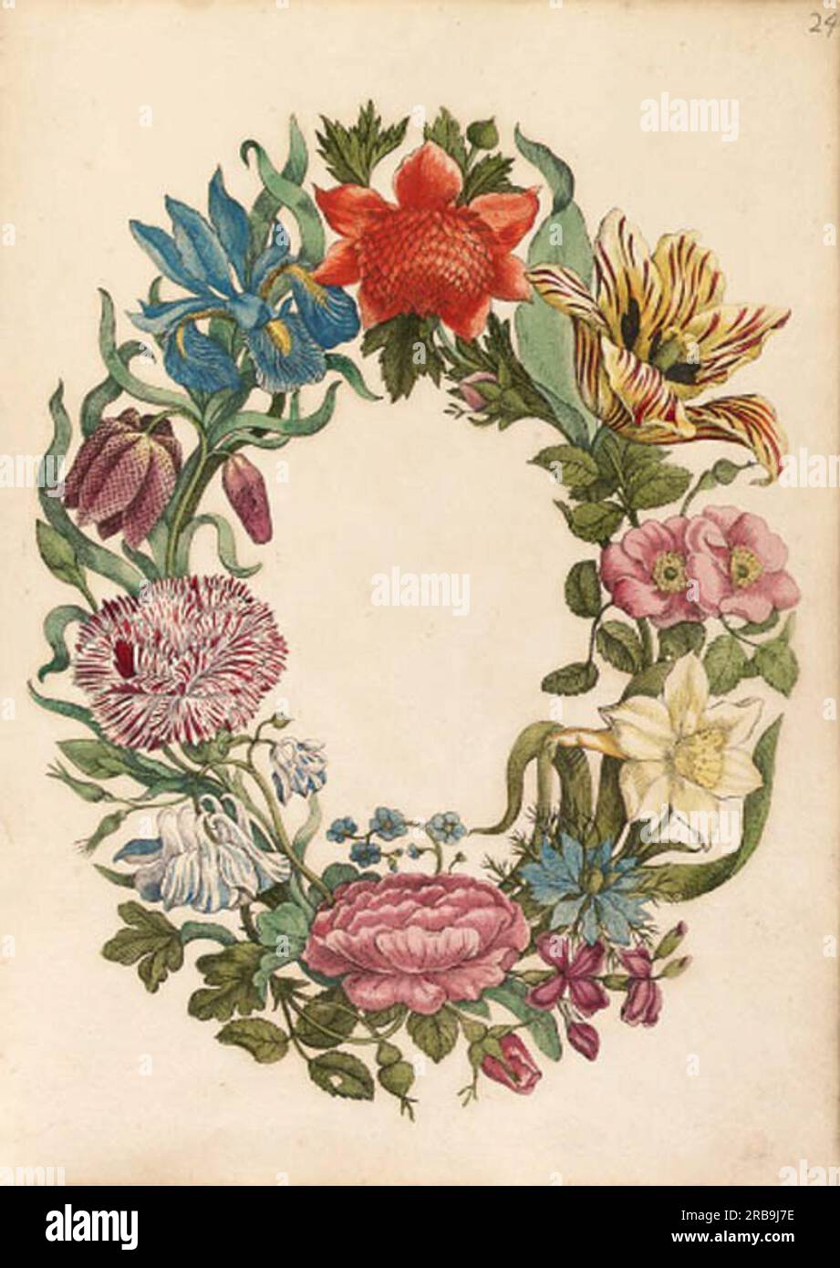 Untitled by Maria Sibylla Merian Stock Photo - Alamy