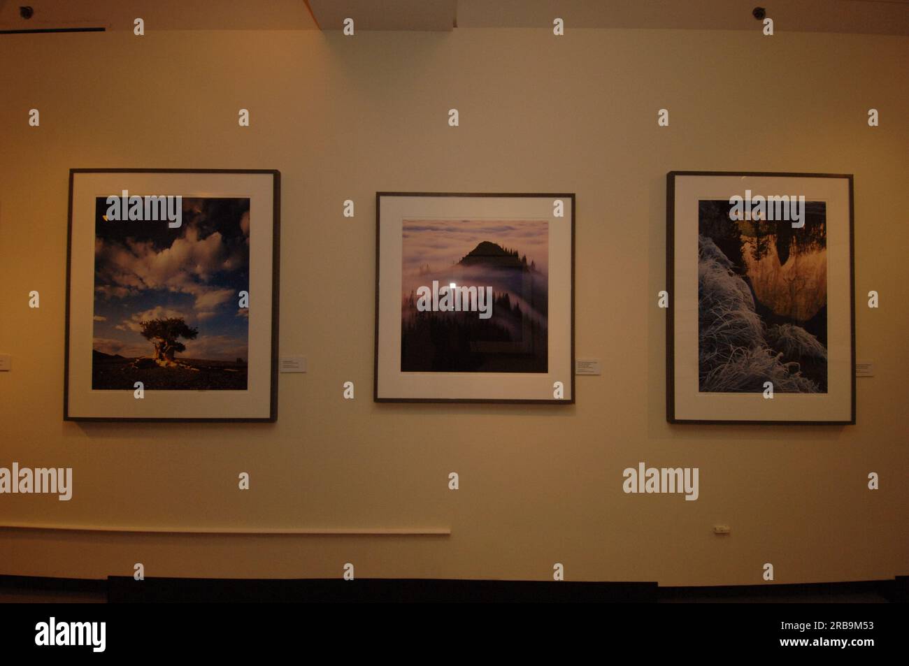 Interior Museum exhibits, viewing spaces Stock Photo - Alamy