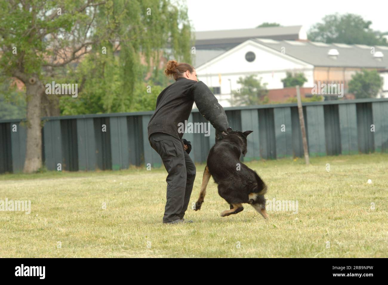 Law enforcement canine exercises on the occasion of the U.S. Park ...
