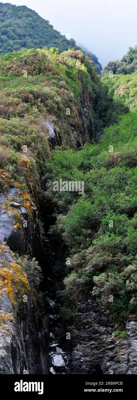 Vertical Panorama - Geology on the South Island of New Zealand Stock ...