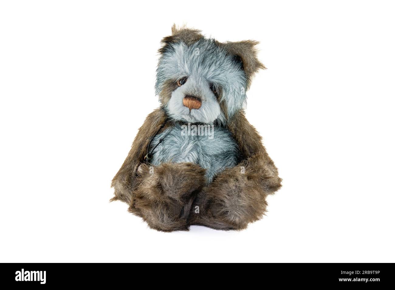 Cute fluffy teddy bear isolated on white background Stock Photo - Alamy