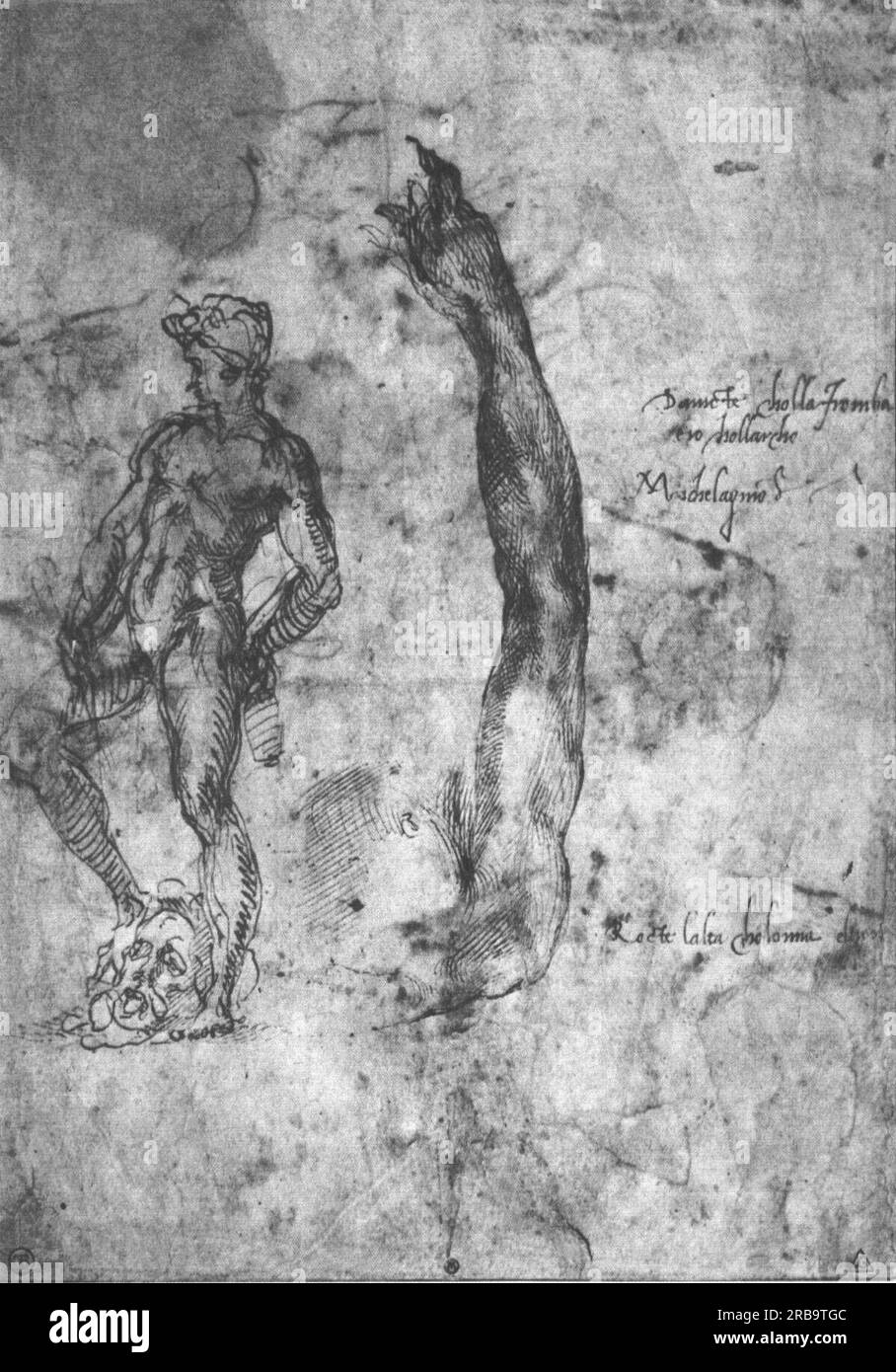 Study for an arm of the marble David and the figure of the bronze David ...