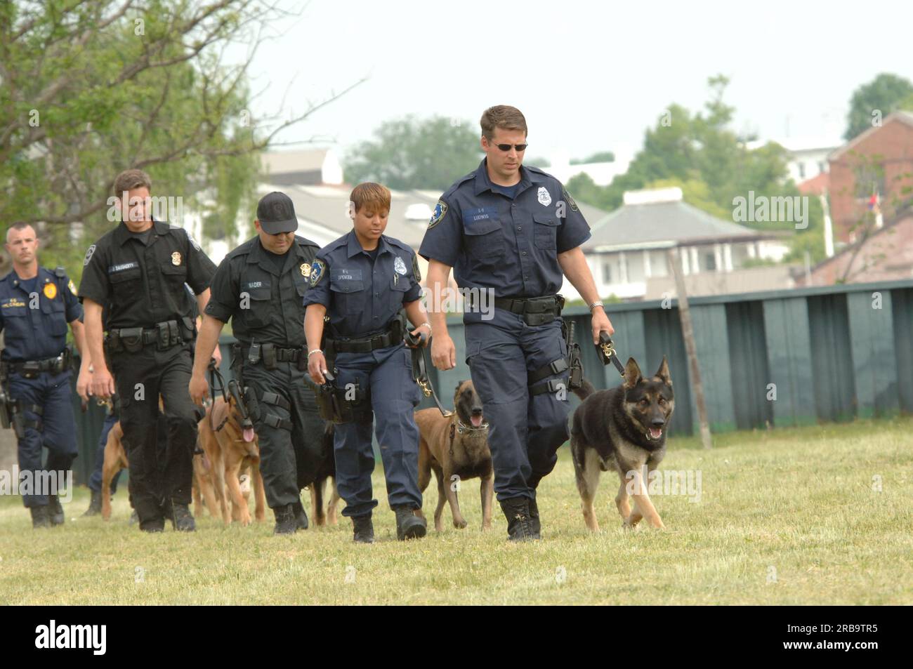 Law enforcement canine exercises on the occasion of the U.S. Park ...