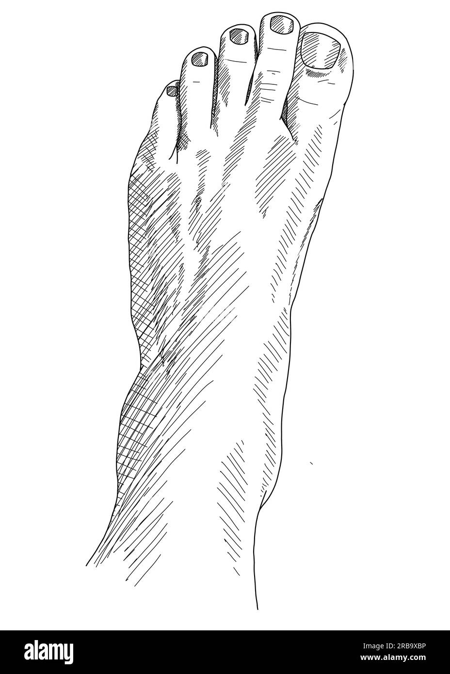 Human body woman pencil drawing Black and White Stock Photos & Images ...