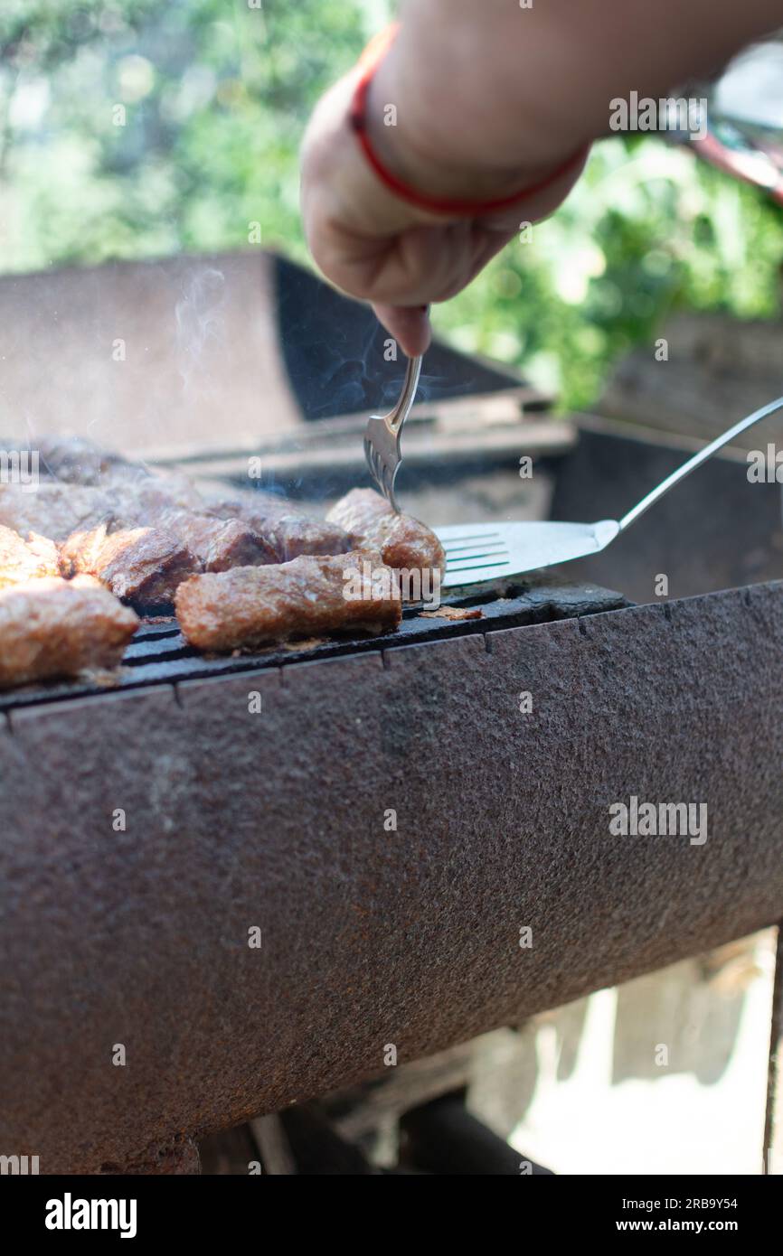 Mitittei mici hi-res stock photography and images - Alamy