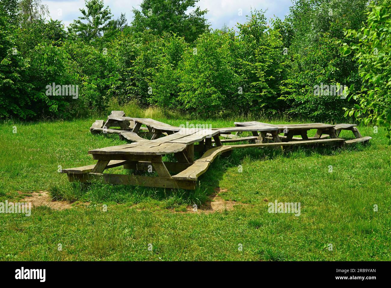 Y shaped picnic table in the Heartwood Forest, Hertfordshire Stock ...