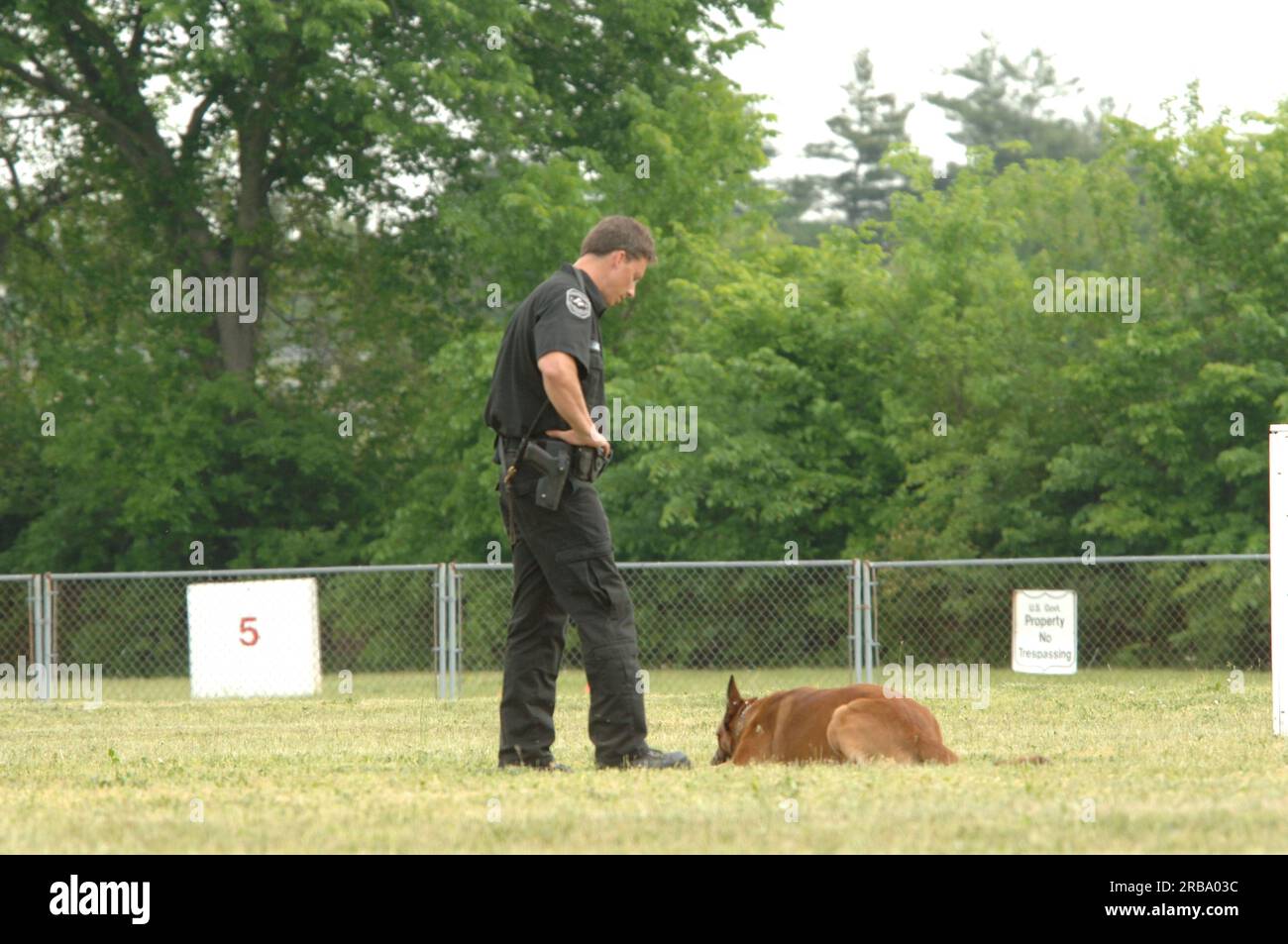 Law enforcement canine exercises on the occasion of the U.S. Park ...