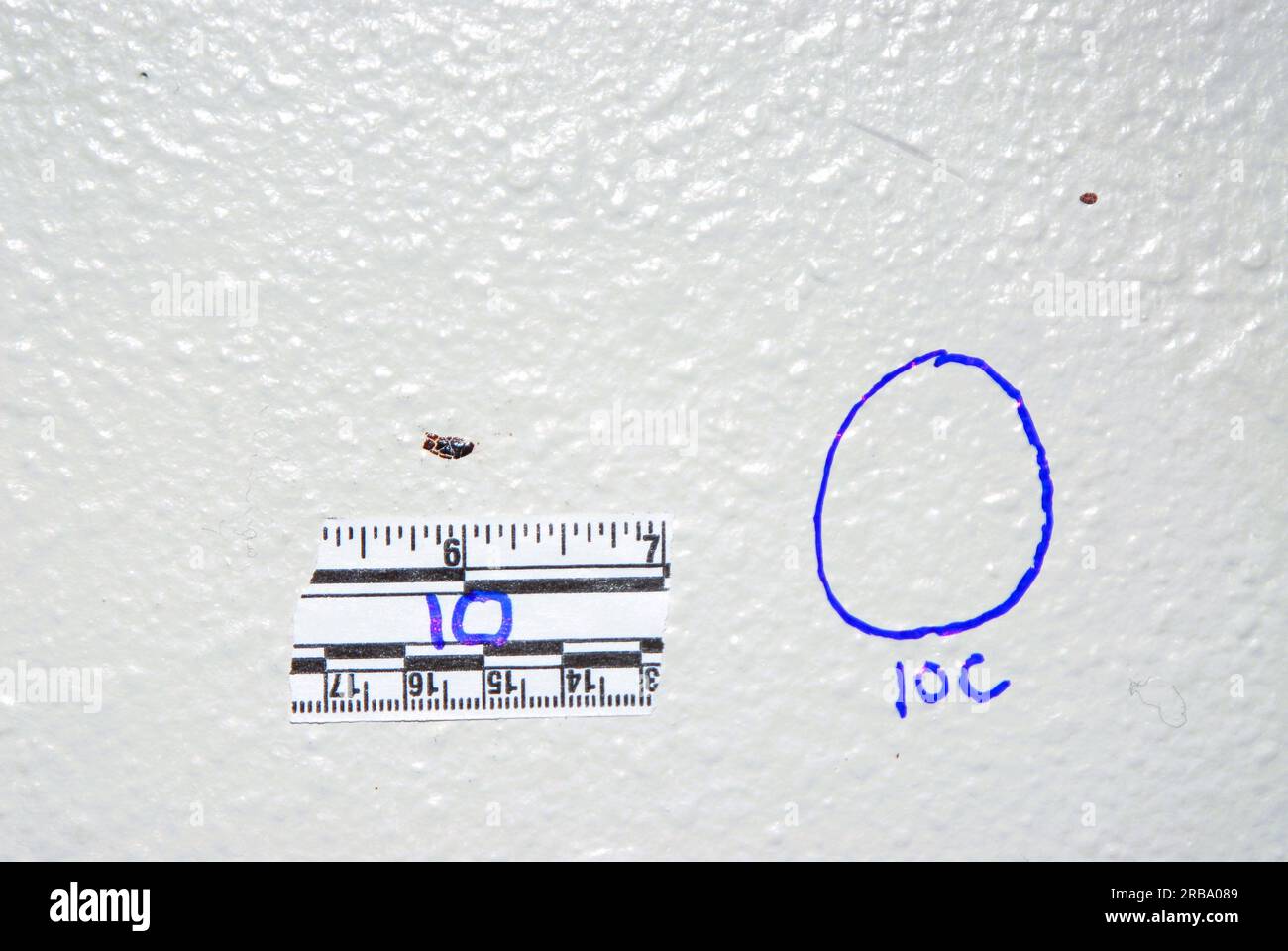 Close up photo blood sample hi-res stock photography and images - Alamy