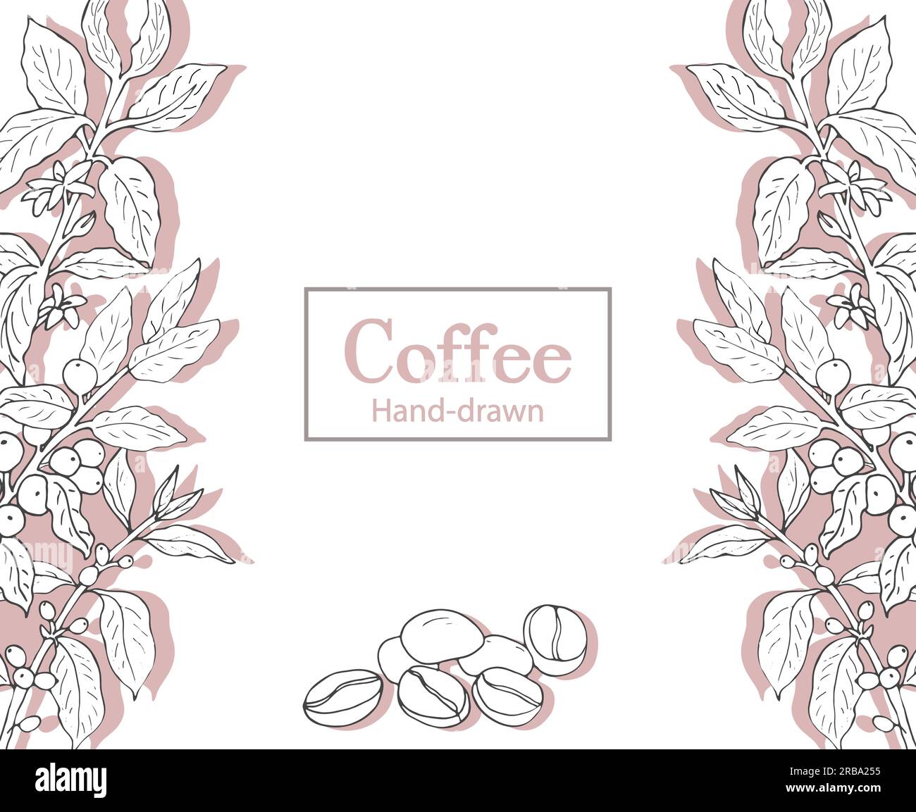 coffee beans and leaves banner Stock Vector Image & Art - Alamy