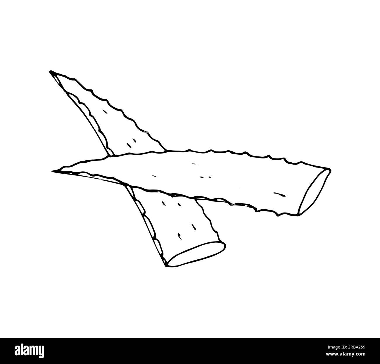 Aloe vera gel leaf Black and White Stock Photos & Images - Alamy