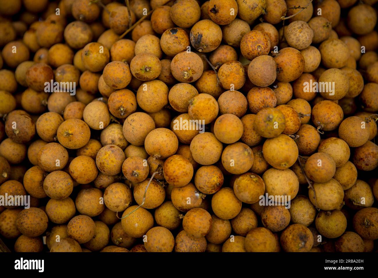 Batch of Longans at the fruit market Stock Photo - Alamy