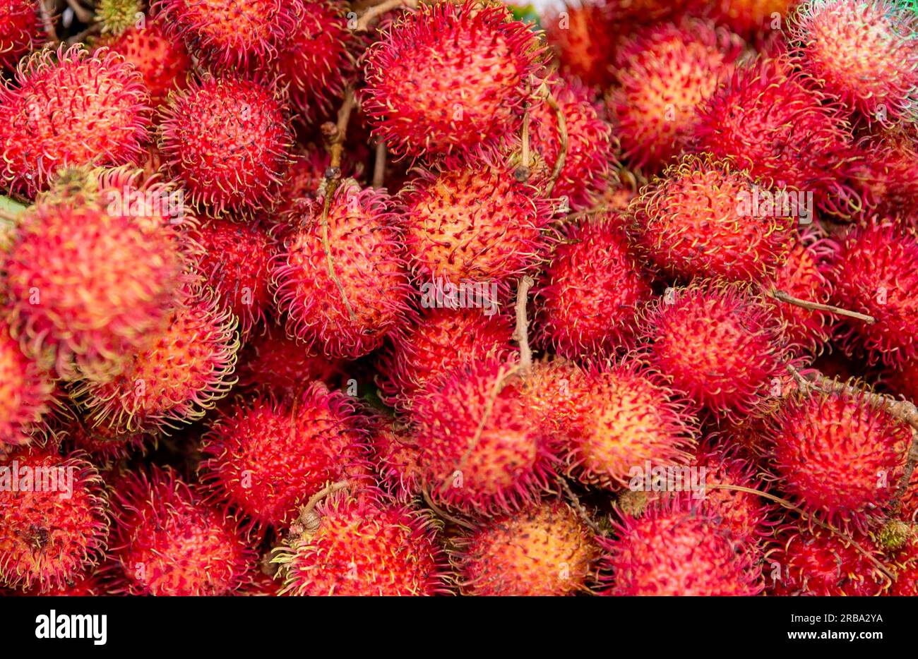 Rambutan fruit sale on hi-res stock photography and images - Alamy
