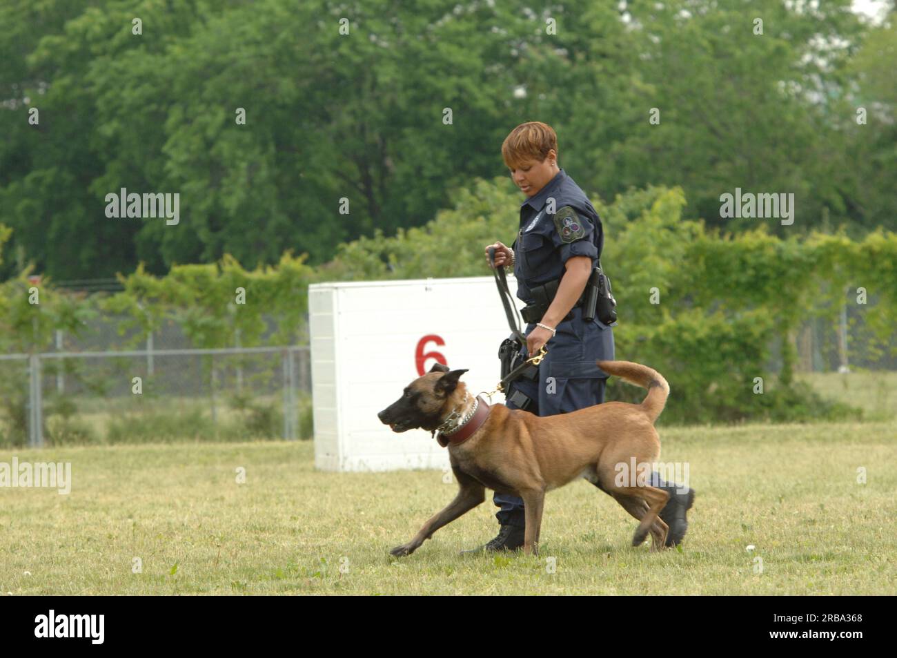 Law enforcement canine exercises on the occasion of the U.S. Park ...