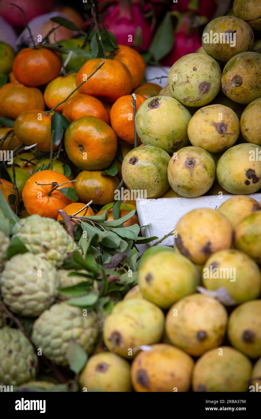 Stacks of fruits for sale at a fruit market Stock Photo - Alamy